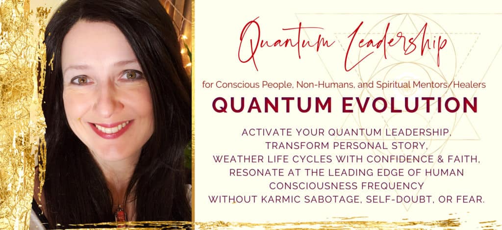 Quantum Evolution Course - Transcension Gate