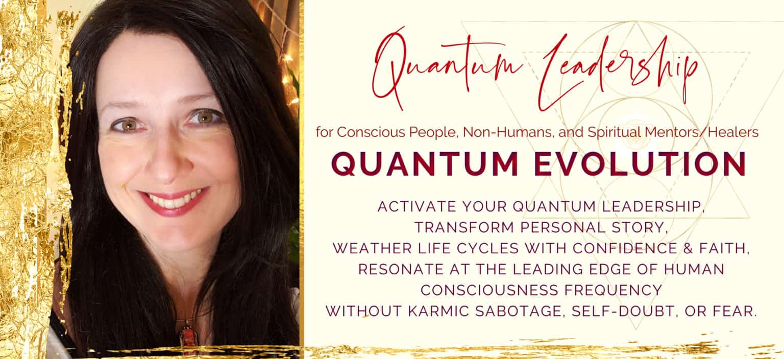 Quantum Evolution Course - Transcension Gate